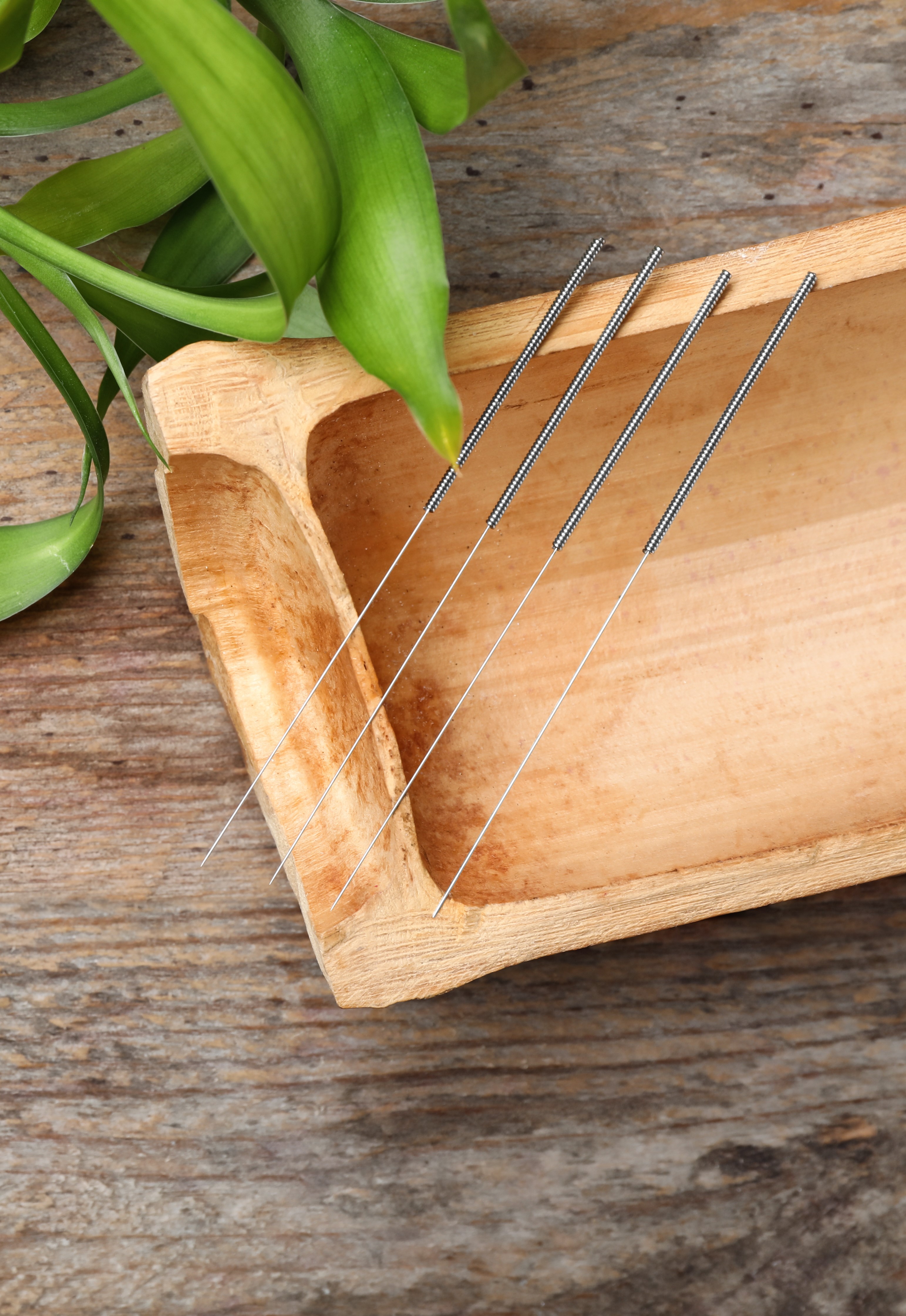 Five Pillars of Health – Vitalichi